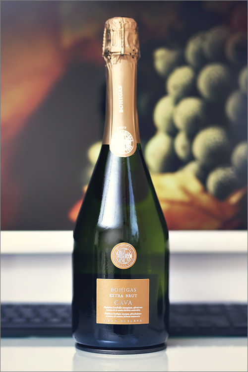 Bohigas | Extra Brut Cava Gran Reserva 2019 – WineStatistics